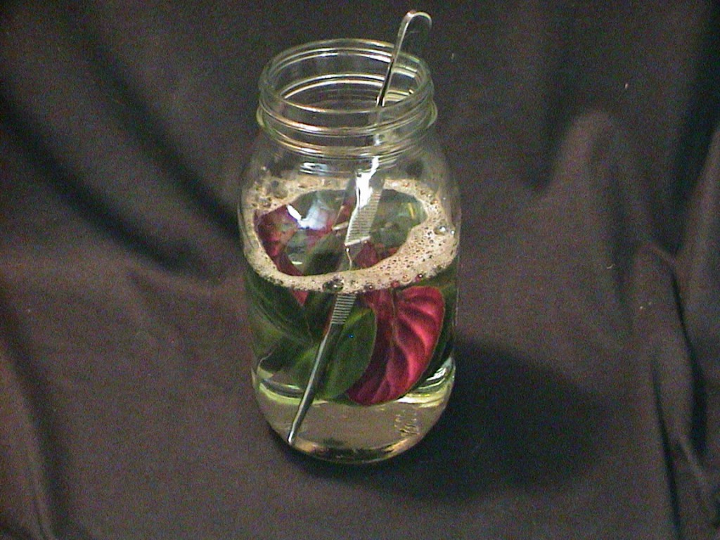 Slideshows – Kitchen Culture Kit, Inc.